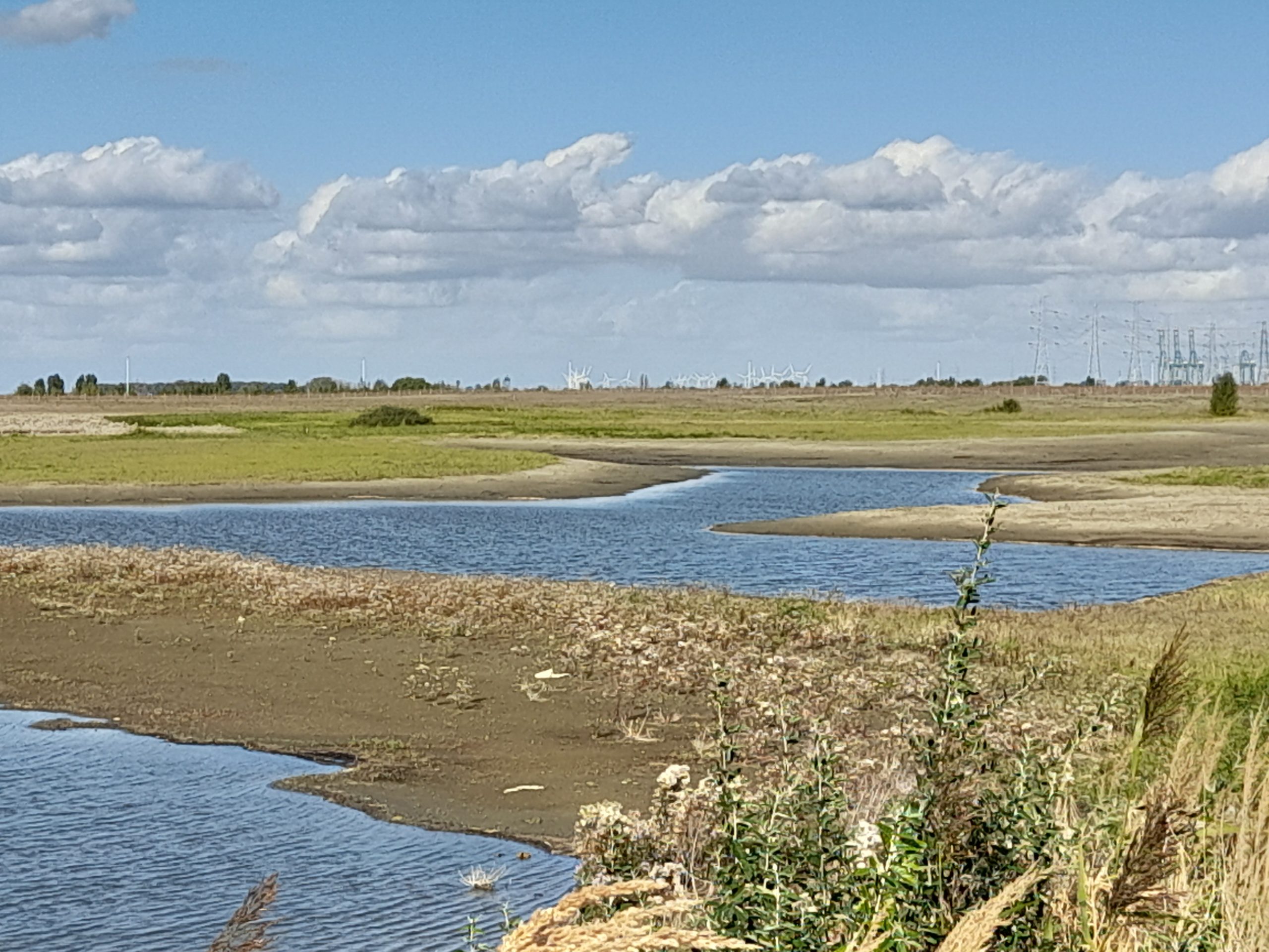 Gedempt deel Doeldok | Beheercommissie Natuur Linker Schelde Oever